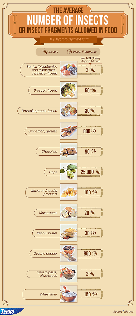 What Gives it that Crunch? – Spiders In My Bathtub